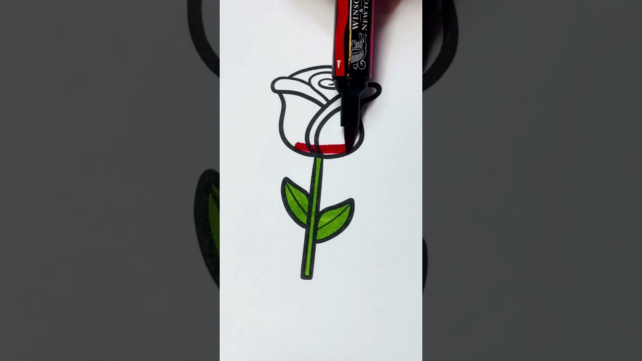 Rose 🌹 #rose #colorwithme #coloringpage #oddlysatisfying #colortherapy #coloring #markerart