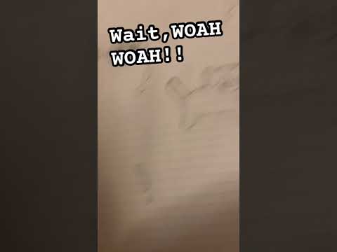 #funny #memes #art keep being awesome and keep being you guysβ€οΈ