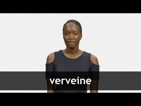 English Translation of “VERVEINE” | Collins French-English Dictionary