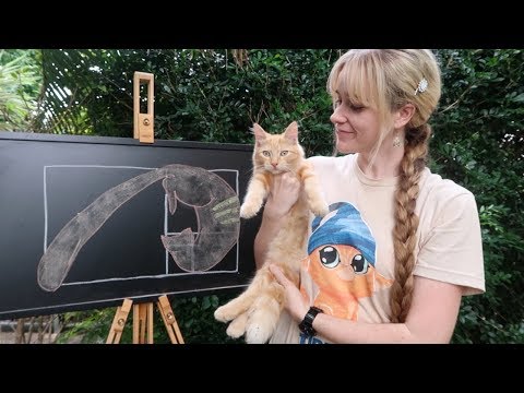 Math for cats