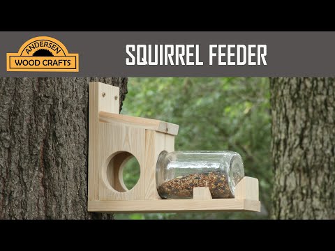 EASY DIY SQUIRREL FEEDER