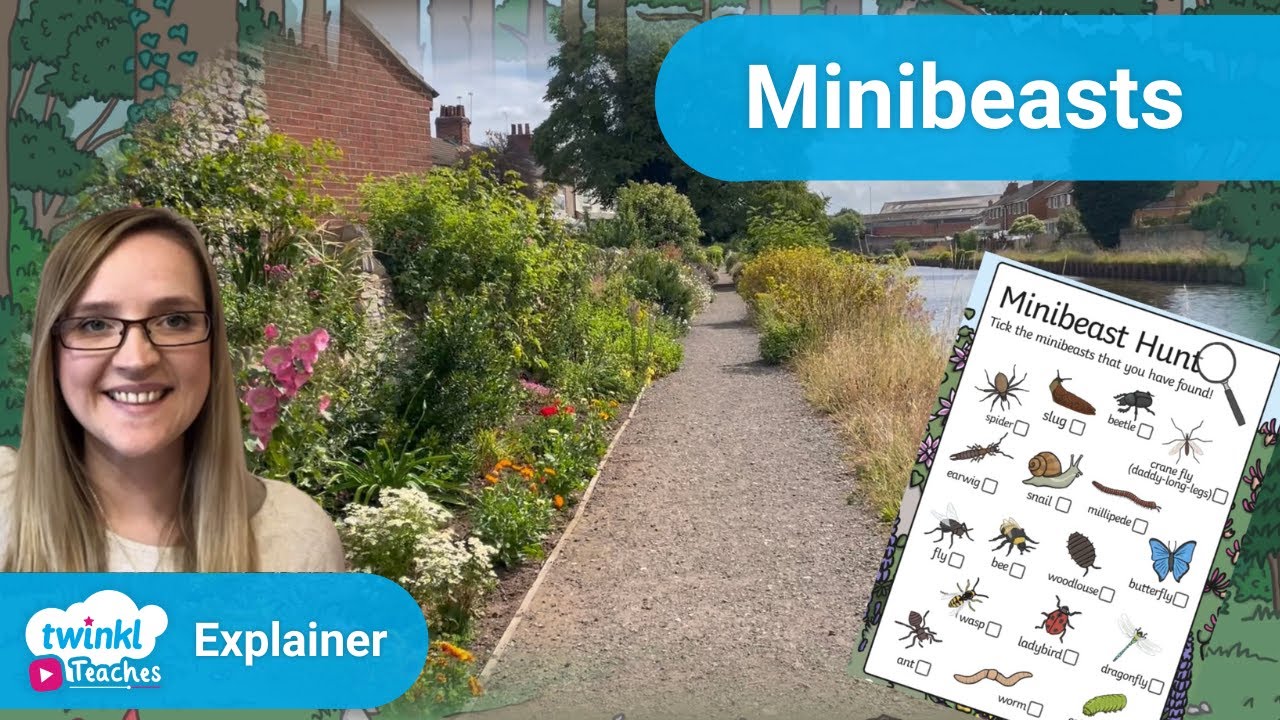 Minibeasts Activity Pack