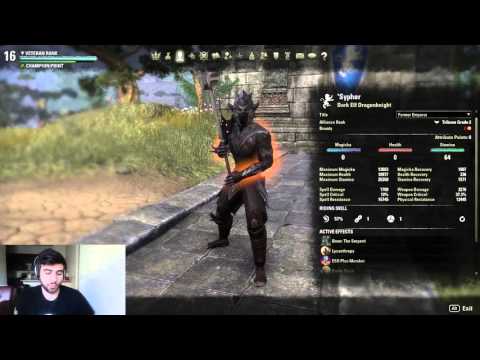 Sypher`s stam DK build - I recommend - it is awesome :)! — Elder ...