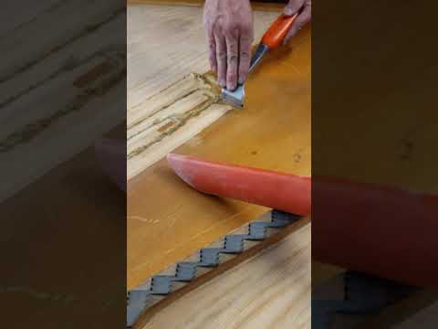 Scraping the old finish off the surface of a soundboard to a 1920's Chickering piano