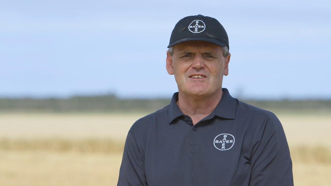 Guinness World Records™ title: Highest Wheat Yield | Full story