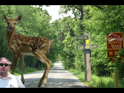 Unique Wisconsin - Rustic Road 86