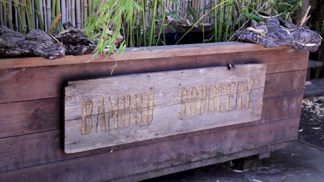 Bamboo Sourcery - Floating Through the Culms