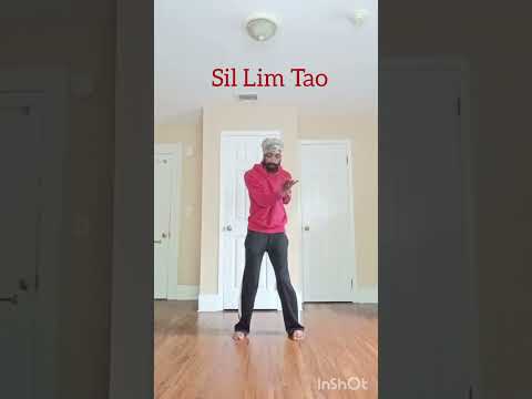 Sil Lim Tao-Wing Chun