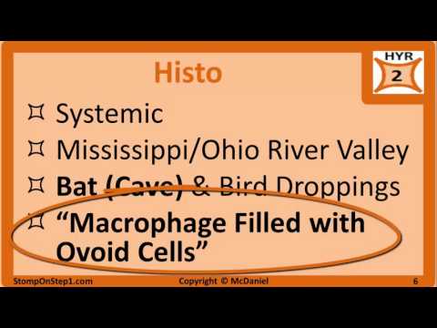 Fungal Infections and Antifungal Treatments Ringworm Candida Aspergillus Histoplasmosis