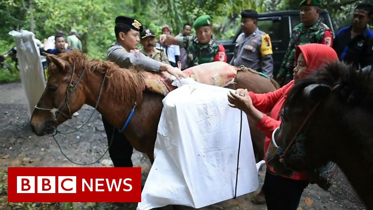 Horses take ballot boxes to Indonesian villages - BBC News
