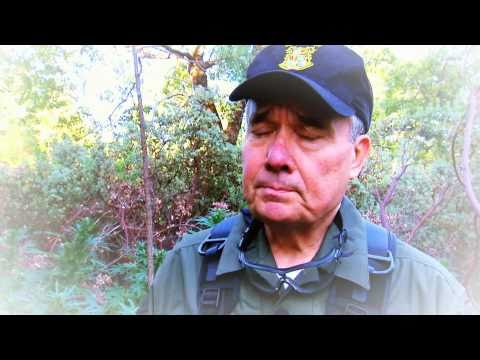 CNBC TV - MARIJUANA USA - Rough First Version Cold Open