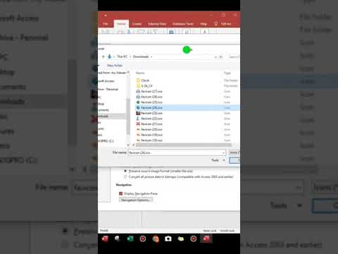 Change Application Icon of Ms Access