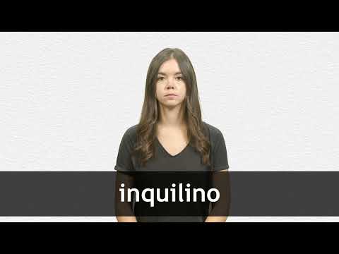 English Translation of “INQUILINO” | Collins Spanish-English Dictionary