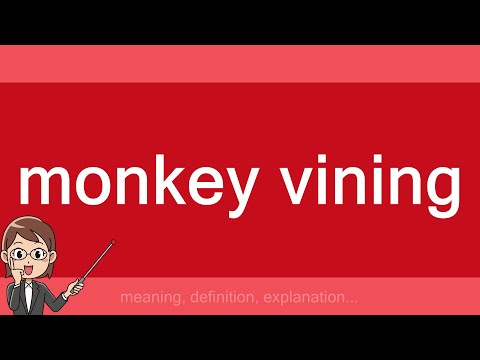 monkey vining