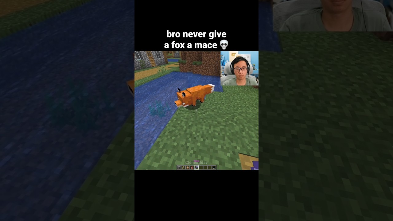 Minecraft Fox Moment
