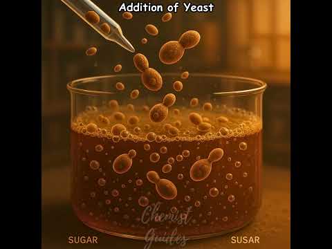 Formation of Ethanol from Molasses by Fermentation