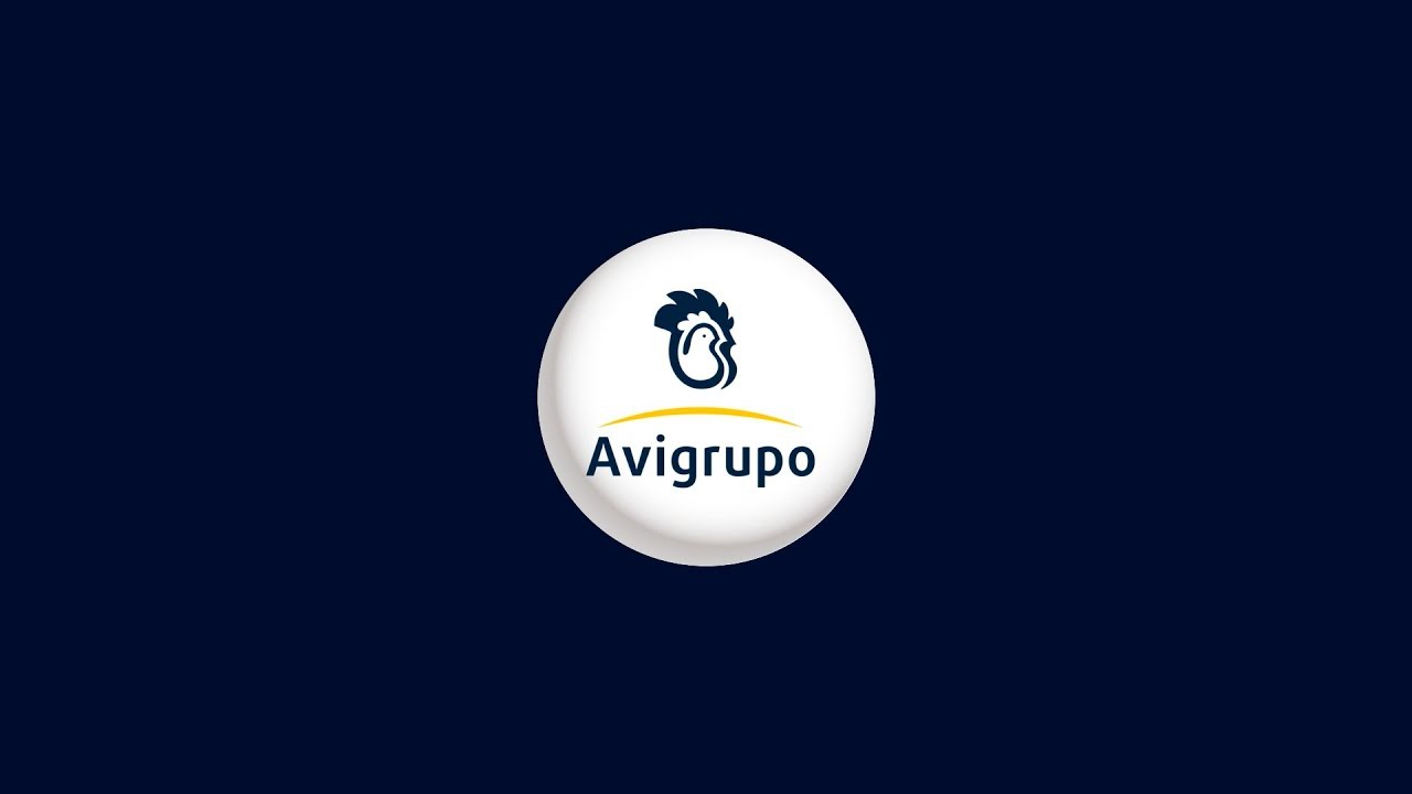Avigrupo