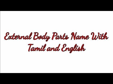 External body parts name tamil and english
