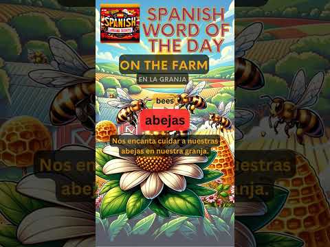 Bees - Spanish Word of the Day - Learning Spanish Language Secret #beginnerspanish @BravetheRooster