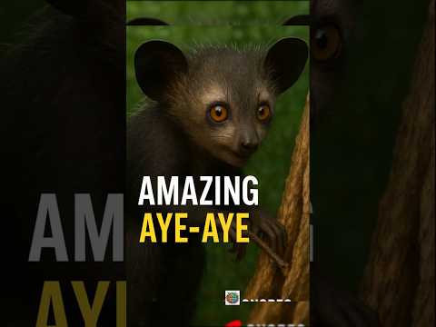 This Animal Looks Like a Demon⦠But Itās Real š±š¦ | Aye-Aye Explained