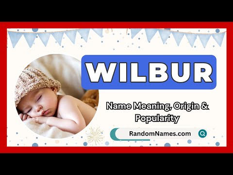 Wilbur - Baby Boy Name Meaning, Origin & Popularity - RandomNames.com