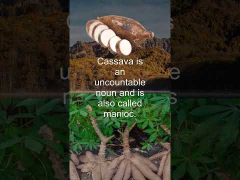 cassava - Khoai mì - Sắn #shorts