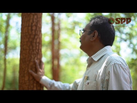 SPP VIDEO | Sai Properties & Projects Ltd | Redsandal |