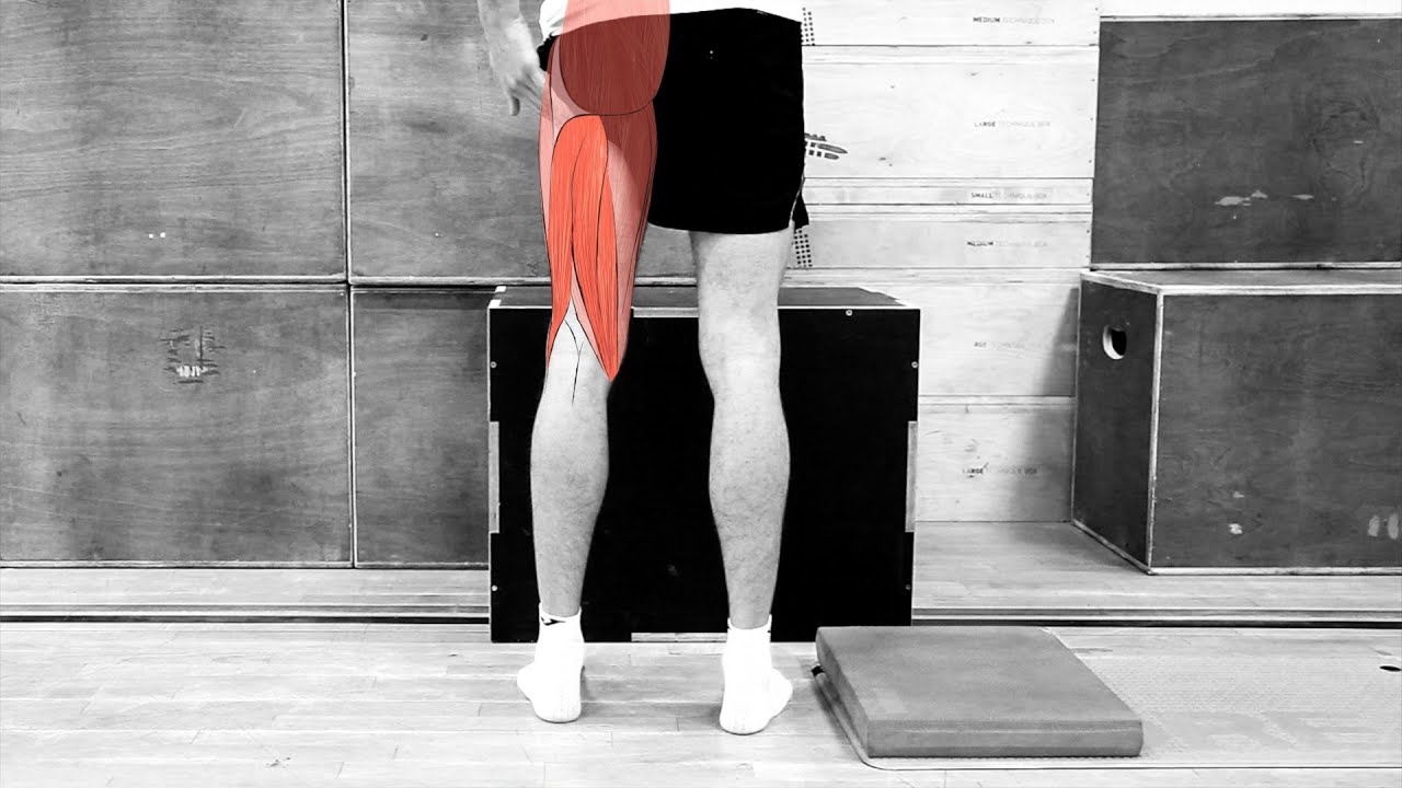 Hamstring Sliders- Eccentric Hamstring Exercise