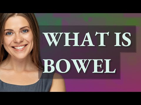Bowel | meaning of Bowel
