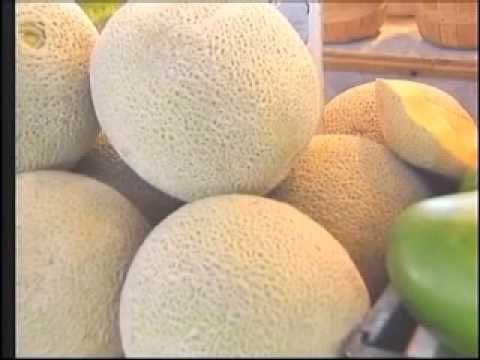 What is Listeria?
