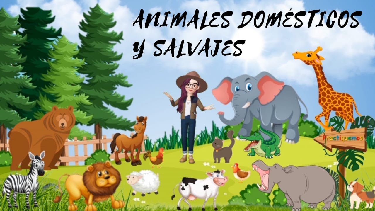 ANIMALES DOMESTICOS 🐶 y SALVAJES 🦒 para NIÑOS
