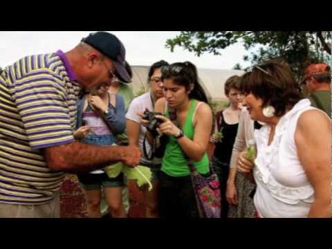 Urban Agriculture in Cuba