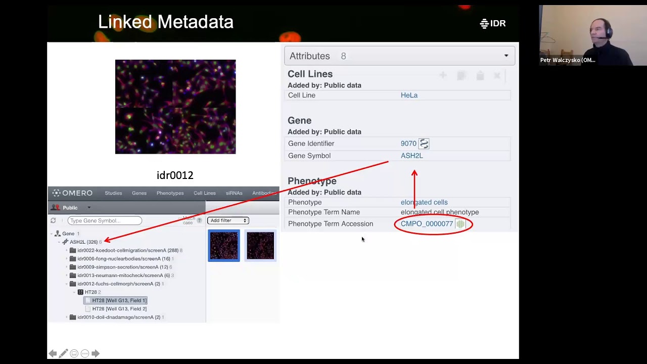 Image Data Resource (IDR) workshop