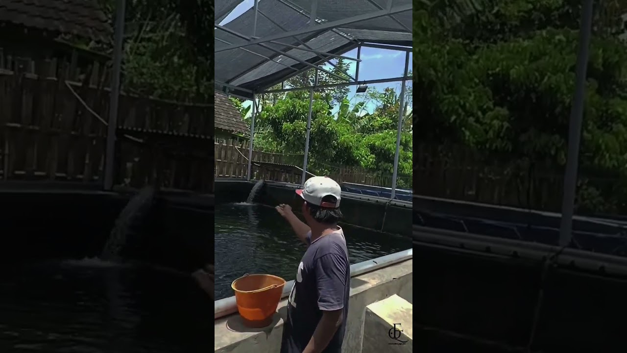 BUMDes Jaya Abadi Karangrejo