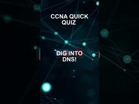 What port number does DNS typically use