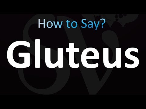 How to Pronounce Gluteus (correctly!)