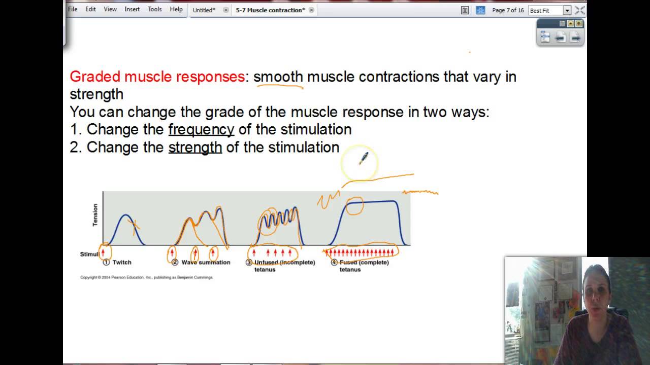 5-8 Whole muscle contraction