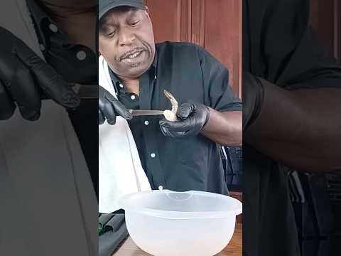 How to Devain Shrimp The Right Way #shortvideo #shortsfeed #deveining #hack #jumboshrimp #seafood