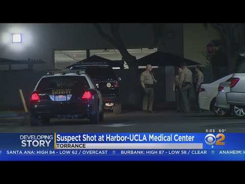 Patient Shot, Critically Wounded By Deputy At Torrance Hospital After Becoming Violent