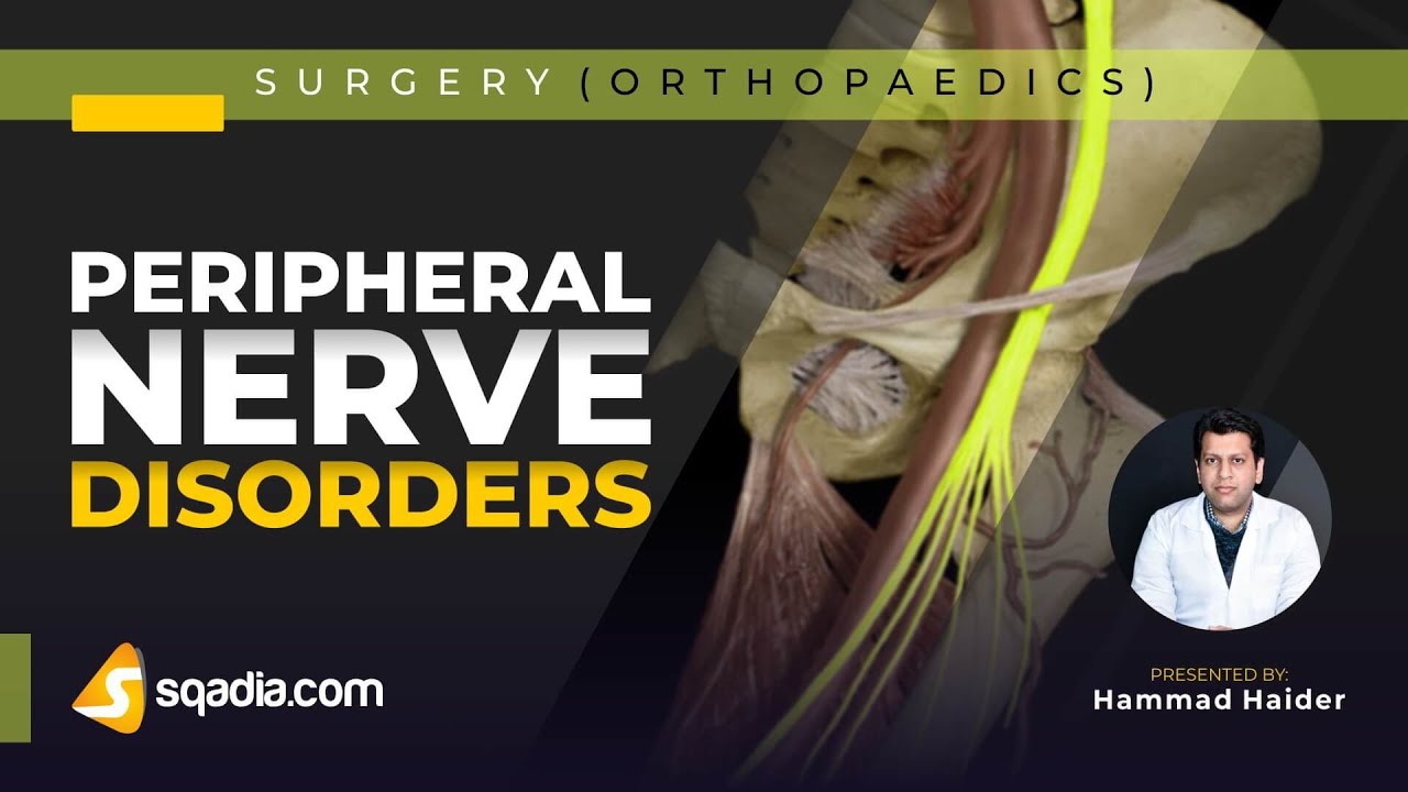 Peripheral Nerve Disorders - Introduction