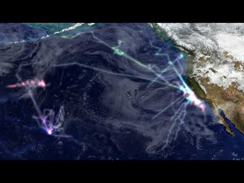 Ocean Tracks – Science for All