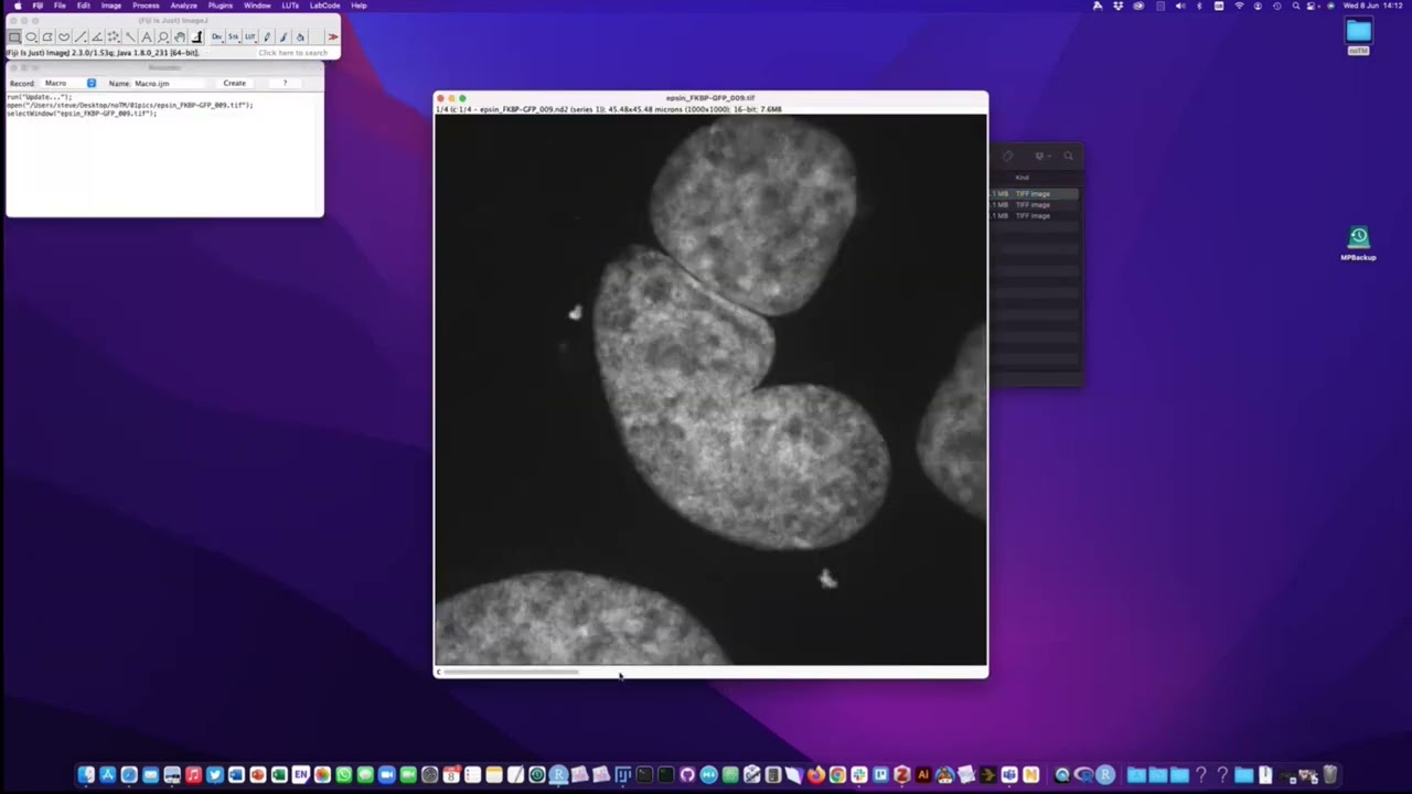 Making Figures The Quantixed Way