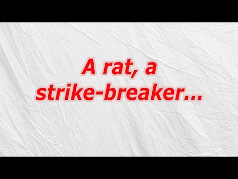 A rat, a strike breaker (CodyCross Answer/Cheat)