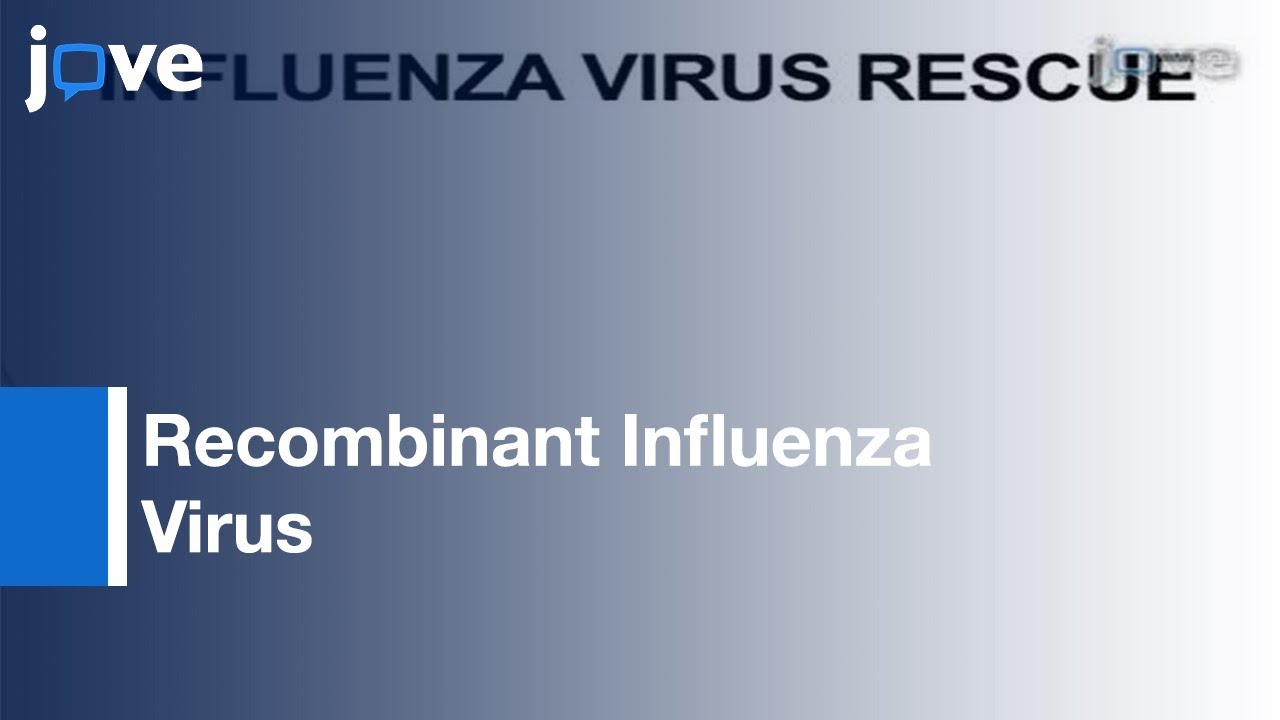 Generation Of Recombinant Influenza Virus From Plasmid DNA-Preview