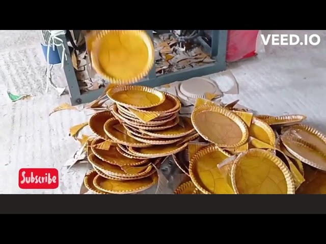 Paper Plate Machine - Hydraulic Single Cylinder Double Die Paper Plate ...