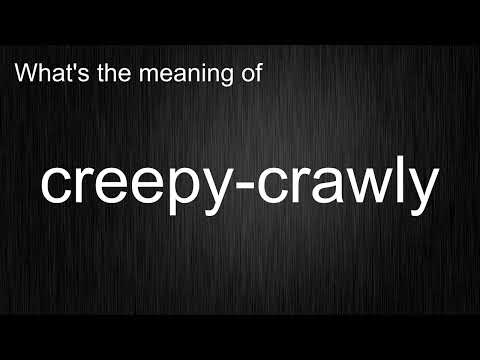 What's the meaning of "creepy-crawly", How to pronounce creepy-crawly?