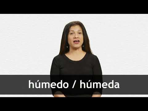 English Translation of “HÚMEDO” | Collins Spanish-English Dictionary