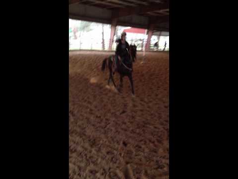 Sliding Stop | Training A Horse