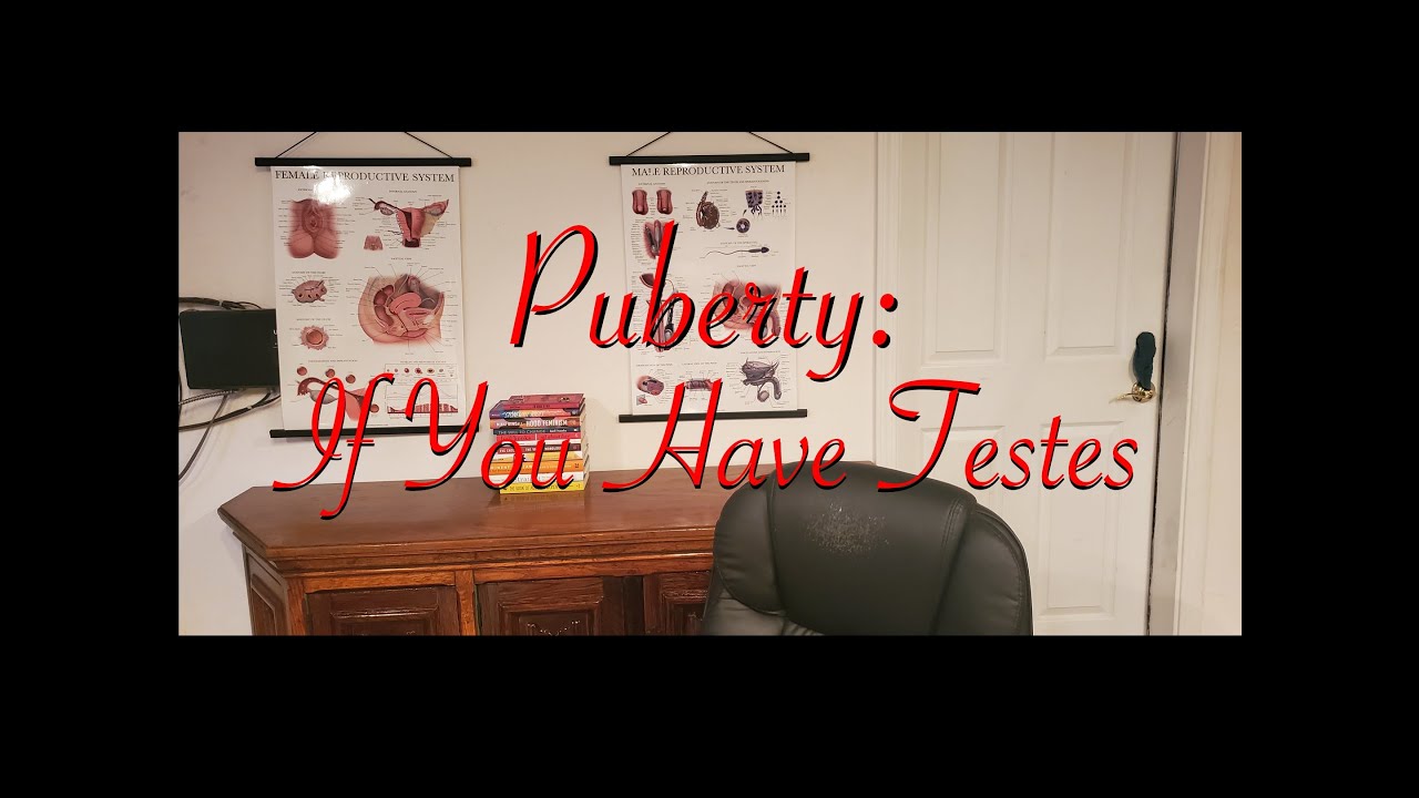 Puberty: If You Have Testes (Puberty, Part 3)