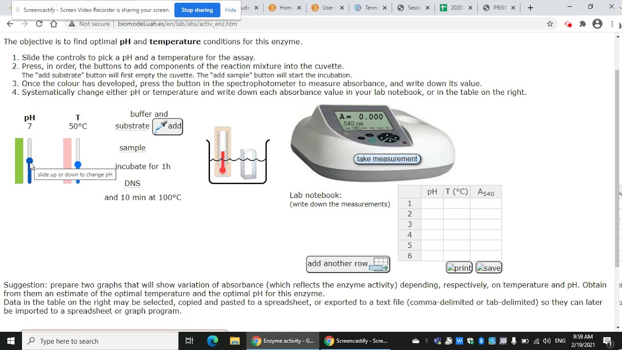 Instructions for enzyme virtual lab